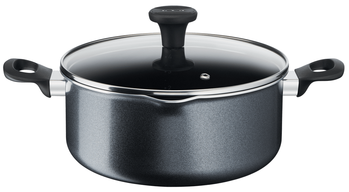 Tefal Family Day Non-Stick Stewpot 24cm